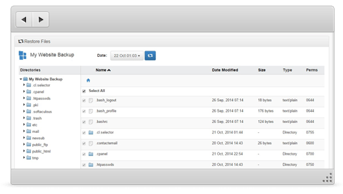 Automated Website Backup | Online Website Backup | HostPapa